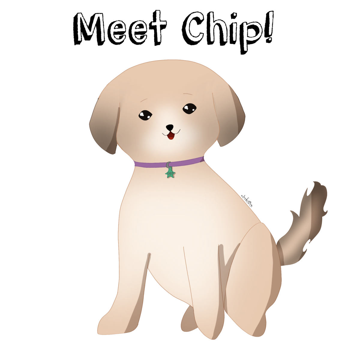 Meet Chip! – The Hawk